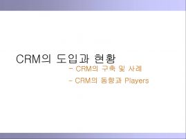 CRM의 도입과 현황-1페이지