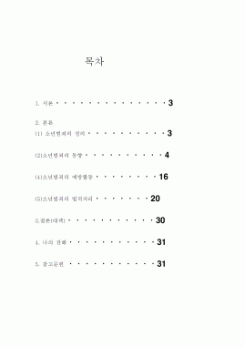 소년 범죄의 현황과 대책 그리고 나의 사회범죄 예방을 위한 견해-1페이지