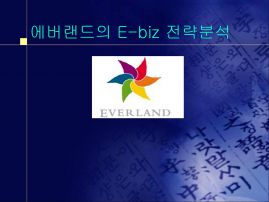 [ 발표자료 ] 에버랜드의 E-biz 전략분석-1페이지