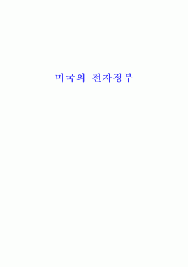 미국의 전자정부-1페이지