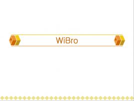 [WiBro]휴대인터넷 서비스-1페이지