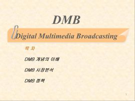 [사회과학] DMB(디지털멀티미디어방송)-1페이지