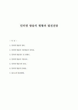 인터넷 방송의 현황과 발전전망-1페이지