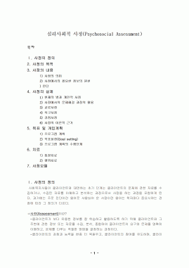 심리사회적 사정(Psychosocial Assessment)-1페이지