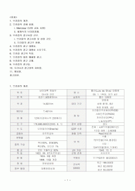 브라질 광고산업-1페이지