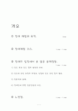  장애체험 보고서-1페이지