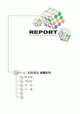 인터넷과 법률문제-1페이지