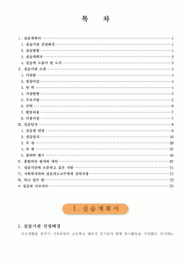 복지현장 실습현장 보고서 - 보라매청소년 실습 보고서 - 19개의 보고서 묶음-1페이지