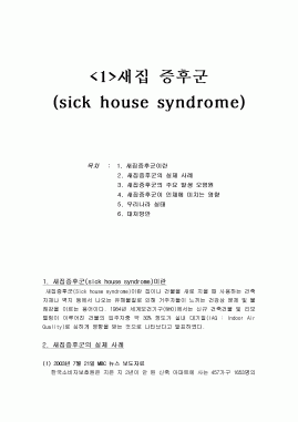 새집 증후군(sick house syndrome)과 VDT 증후군-1페이지