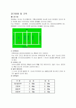 배구의 경기방법 및 규칙-1페이지