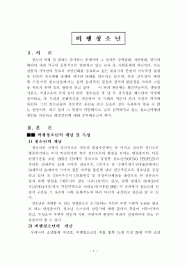 비행청소년 비행청소년 대한 대처방안 비행청소년의 원인 비행청소년의 개념 청소년문제-1페이지