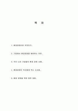 환경 경영의 당면성과 시사점-1페이지