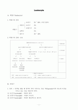 백혈구(leukocyte)에 대해-1페이지