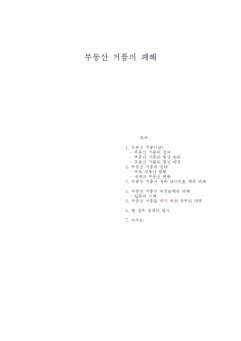 부동산거품의 폐해-1페이지