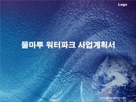 [사회과학] 워터파크 사업계획서-1페이지