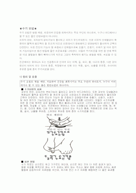 수기요법의 종류와 효과및 효능 방법-1페이지