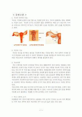 자궁근종간호-1페이지