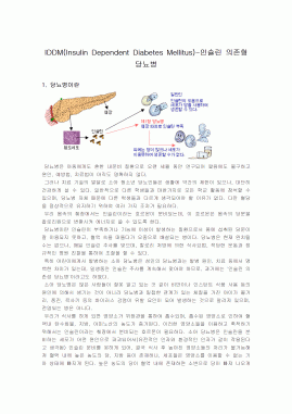 IDDM(Insulin Dependent Diabetes Mellitus)-인슐린 의존형 당뇨병-1페이지