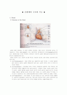 순환계의 구조와 기능-1페이지