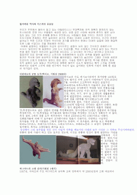 잃어버린역사와미스터리유물들-1페이지