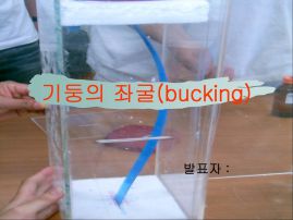 기둥의 좌굴(bucking)-1페이지