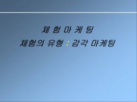 체험마케팅 - 감각마케팅-1페이지