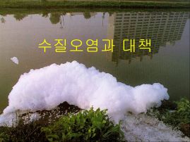 수질오염의 피해와 대책-1페이지