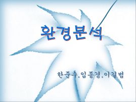 인터넷마케팅-환경분석-1페이지