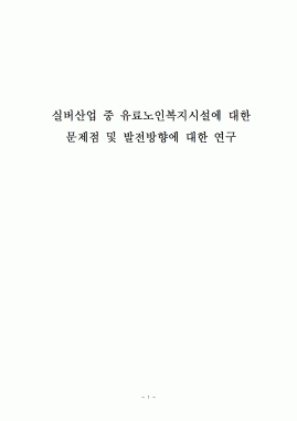 실버산업 중 유료노인복지시설에 대한 문제점 및 발전방향에 대한 연구-1페이지