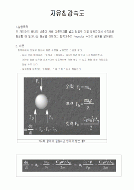 자유침강속도-1페이지