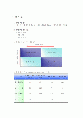 관여도에 따른 정보처리과정-1페이지