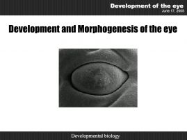 Development and Morphogenesis of the eye (눈의 발생과 형성)-1페이지