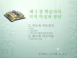 학습자의 지적특성과 발달-1페이지