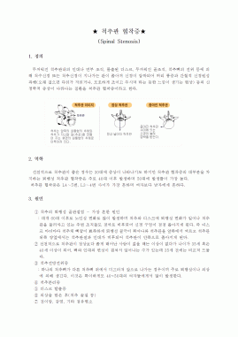 척추관 협착증-1페이지