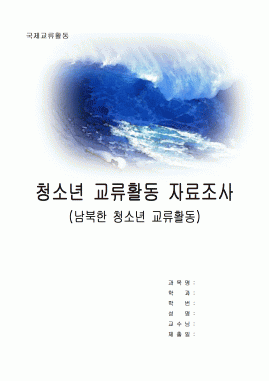 청소년 교류활동 자료조사-1페이지