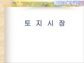 토지시장의 문제점-1페이지