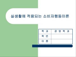 실생활에 적용되는 소비자행동이론-1페이지