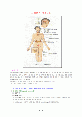 내분비계의 구조와 기능 내분비계 진단 검사-1페이지