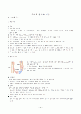 맥관계 구조와 기능-1페이지