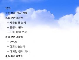 화장품 시장 마케팅- 엘지생활건강-1페이지