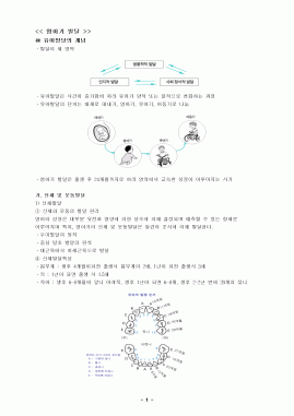 영아기발달과정-1페이지