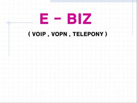 E - BIZ ( VOIP , VOPN , TELEPONY )-1페이지