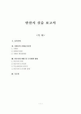 안산시 실습 보고서-1페이지