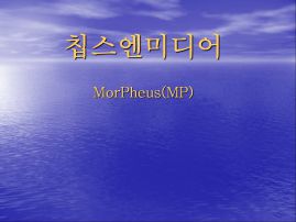 칩스엔 미디어 분석-1페이지