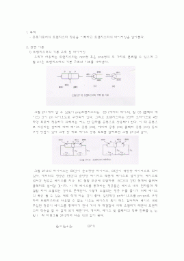 트랜지스터의 기초 실험-1페이지