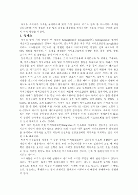 육색의 화학적 상태 변색 육색에 영향을 미치는 요인-1페이지