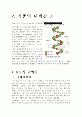 식품의 단백질(동물성 단백질 식물성 단백질) 세계식량문제 해결방안-1페이지