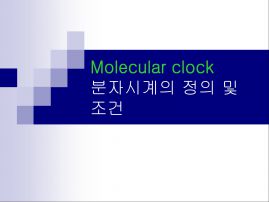 Molecular clock 분자시계의 정의 및 조건-1페이지