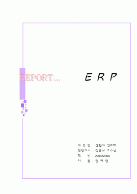통합정보시스템 ERP 도입-1페이지