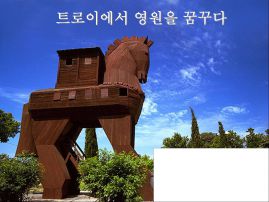 트로이 (발표용 자료)-1페이지